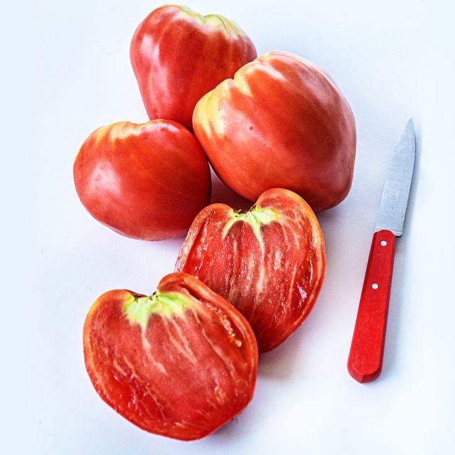 Tomato 'Hungarian Heart' – Wild Toledo Native Plants Sales